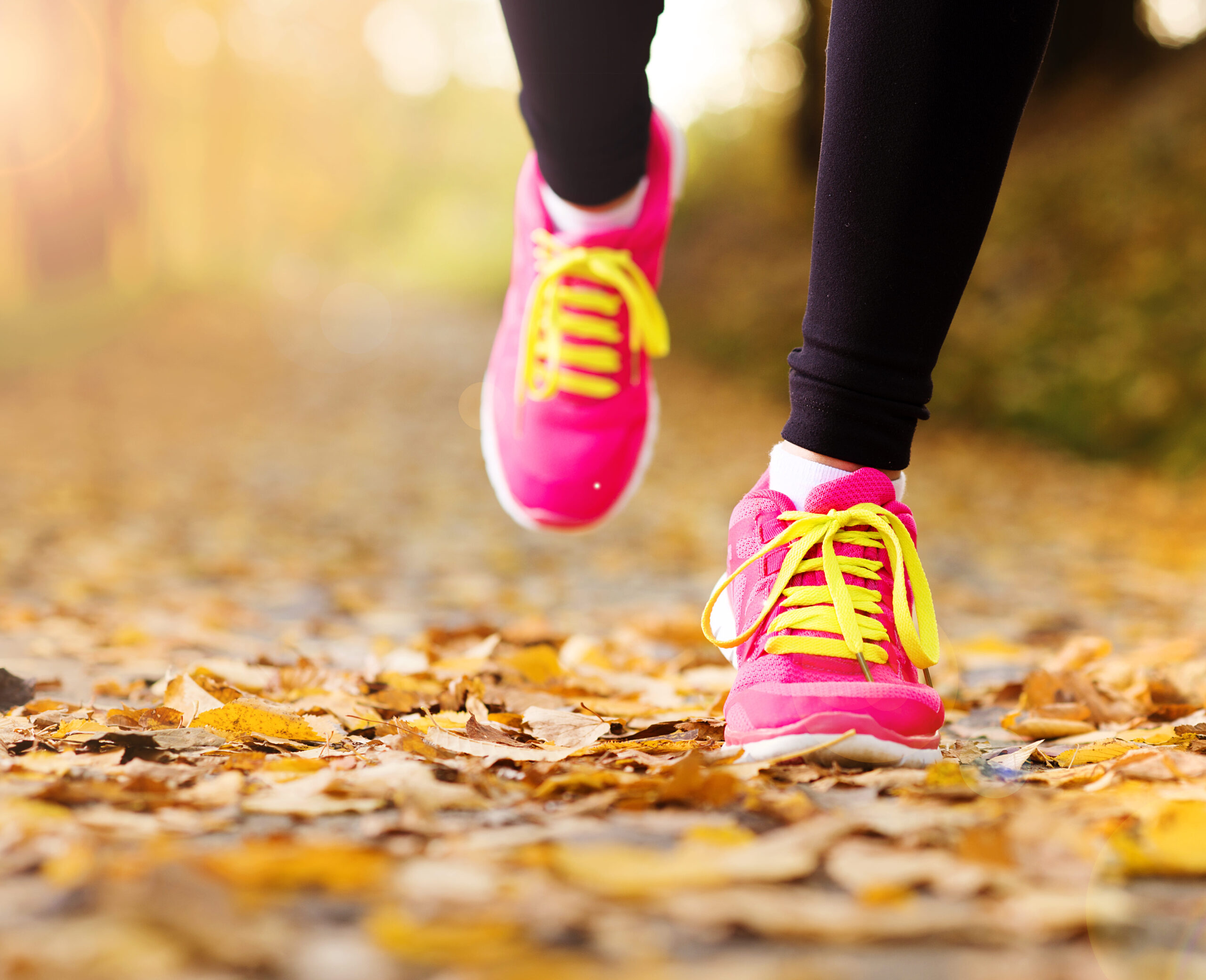 Menu sportif vegan et équilibré - Automne, hiver - Vegan Pratique